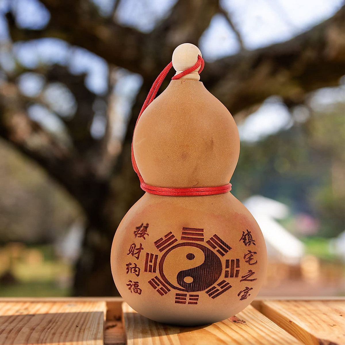 DOITOOL Natural Wine Gourd, Outdoor Portable Water Bottle with Stopper Chinese Feng Shui Hu Lu Gourd Ornament, Water, Wine, Medicine Gourd