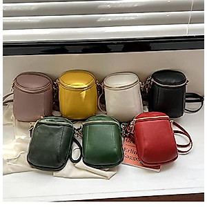 Crossbody Bag for Women Hobo Bag Tote Bag Satchel Bag Small Tote Handbags Cute Phone Purse 2023