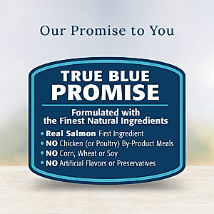 Blue Buffalo Basics LID Grain Free Salmon Adult Dog 2.5oz Pouch (Pack of 12)