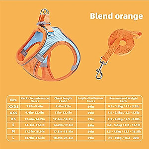 Richcatty 2.0 Step in Air Dog Harness with 59“ Pet Leash for Dogs&Cats-Super Breathable Stable and Lightweight No Feeling Design More Comfortable (Blend Orange, S(Pet Weight 8.8-12.1Lb))