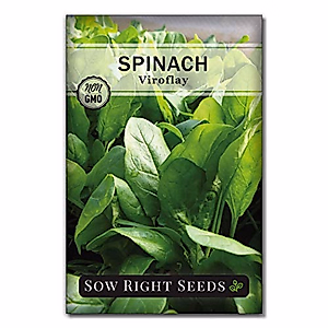 Sow Right Seeds - Viroflay Spinach Seed for Planting - Non-GMO Heirloom Packet with Instructions to Plant a Home Vegetable Garden, Great Gardening Gift (1)