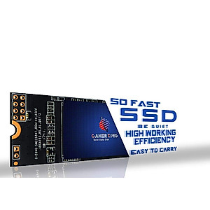 GAMERKING SSD M.2 2280 128GB NGFF Internal Solid State Drive High Performance Hard Drive for Desktop Laptop SATA III 6Gb/s M2 SSD (128GB, M.2 2280)