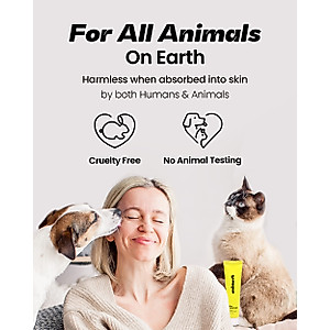 SUNNY SIDE UP Dog Cat Paw Moisturizer Yellow Centella Salve | Dog Lotion for Dry Itchy Skin & Cracked Paws | Cat Itchy Skin Allergy Relief | Cat & Dog Paw Balm for Skin Irritation (1.16 fl oz)