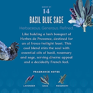 Caldrea Multi-surface CounterTop Spray Cleaner, Made With Vegetable Protein Extract, Basil Blue Sage, 16 Fl Oz