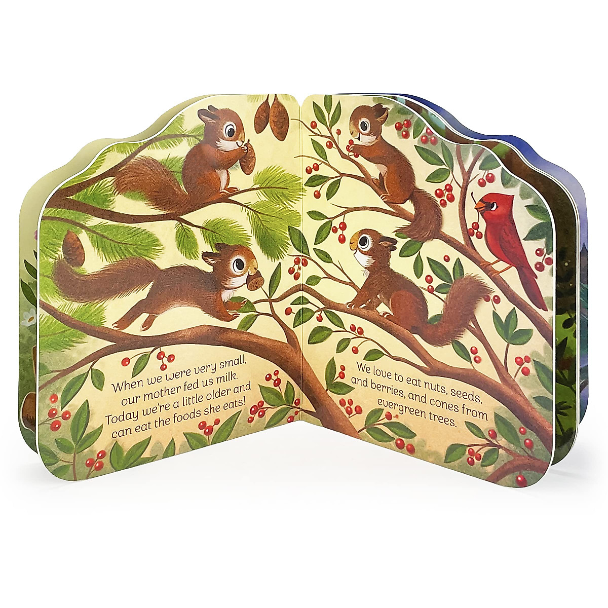 A Little Squirrel - An Animal-Shaped Children's Board Book, Ages 1-5