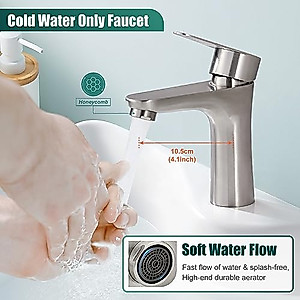 Heyalan Brushed Nickel Bathroom Faucet Cold Water Only SUS304 Stainless Steel Single Handle One Hole Deck Mounted Lavatory Tap Single Switch (Drain not Included)