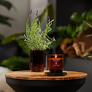 WoodWick® Renew Medium Candle, Lavender & Cypress Scented Candles, 6oz, Plant Based Soy Wax Blend, Made with Upcycled Materials and Essential Oils, Up to 55 Hours of Burn Time
