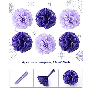 Auihiay 32 Pieces Purple Party Decoration Include Paper Fans, Tissue Paper Pom Poms, Circle Dot Garland and Tissue Paper Tassel for Birthday Wedding Baby Shower Bridal Shower Girls Women Party
