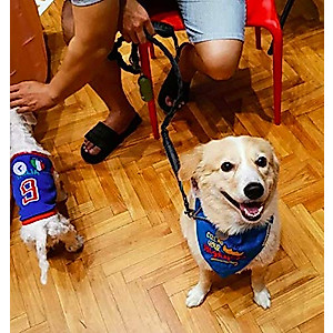 That Dog In Tuxedo Call me Your Highness Dog Bandana/Dog Scarf with Adjustable Dog Collar (Size XL)