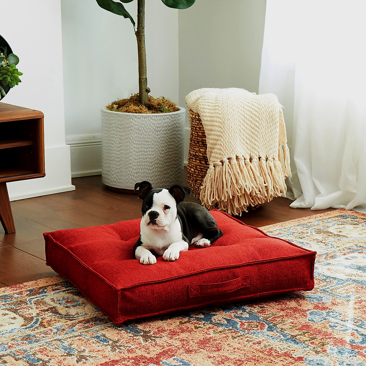 Happy Hounds Milo Square Tufted Pillow Dog Bed, Scarlet, Small (24" x 24")