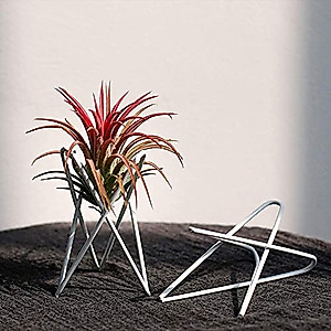 4 Packs Airplant Plants Holder Metal Base Geometric Air Plants Stand Tabletop Air ferns Planter Rack White Tillandsia Display Containers Himmeli Decor .