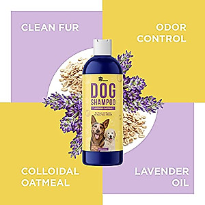 Cleansing Dog Shampoo for Smelly Dogs - Refreshing Colloidal Oatmeal Dog Shampoo for Dry Skin and Cleansing Dog Bath Soap - Moisturizing Lavender and Oatmeal Shampoo for Dogs and Great Smelling Pups