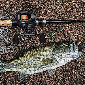 Piscifun Torrent II Baitcasting Fishing Reel, 20LB Carbon Fiber Drag Baitcasters, 8.1:1 Gear Ratio & Magnet Braking System Low Profile Casting Reel, Right Handed