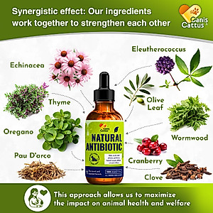 Antibiotics for Dogs | Cat Antibiotic | Pet Antibiotic | Natural Antibiotics for Cats | Dog Antibiotic | Natural Antibiotic for Dogs | Antibiotic for Cats | 2 Oz