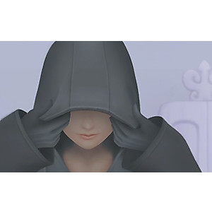 Kingdom Hearts 358/2 Days - Nintendo DS