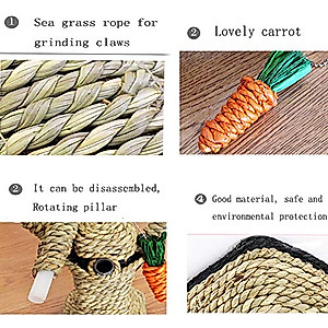 Hamiledyi Pet Bunny Fun Tree Rabbit Chew Toy Rattan Grass Scratcher Climbing Tree Play Carrot Toy for Small Animal