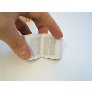 Bible Keychain Key Chain Religious Favor - English - Gold (12 Pack)