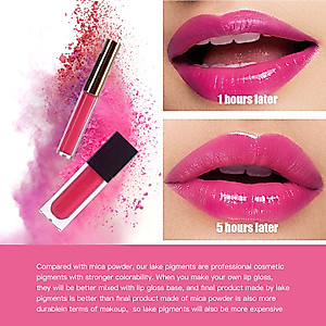 PARAMISS Lip Gloss Pigment Powder Natural Lip Dye 5 Colors x 10G and White Metallic Shimmer Pearl Glitter Pigment Powder for Lip Gloss Lipstick Eyeshadow Cosmetic Grade Lip Gloss Color Pigment