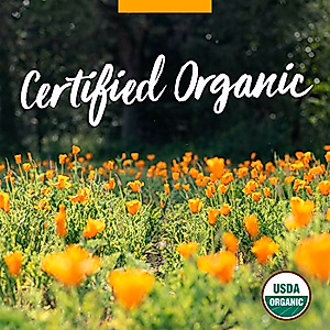 Herb Pharm Certified Organic Turmeric Root Extract for Musculoskeletal System Support - 1 Ounce (DTURM01)