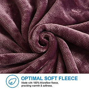 LEISURE TOWN Fleece Blanket Queen King Twin Throw Size Soft Summer Cooling Breathable Luxury Plush Travel Camping Blankets Lightweight for Sofa Couch Bed (Lavender, Queen (90" x 90"))