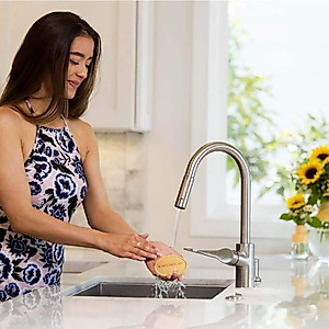 Mysore Sandal Soap, 150 grams Units 5.29 Ounce (Pack of 12)