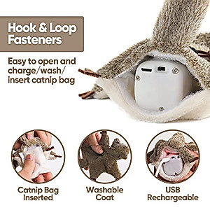 PETFUTURE Cat Toys for Indoor Cats, Rechargeable Interactive cat Toys with Catnip and Beating Wings, Chirping Cat Toys for Bored Cats, Flapping Mouse Kitten Toys for Cat Birthday Gift