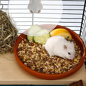 Household Rat Wheel Silent Hedgehog Wheel Household Chinchilla Wheel Transparent Rat Wheel Hamster Accessory Toy Sports Products