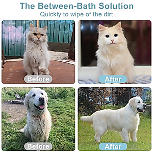 GJEASE Pet Cleaning Bathing Wipe Gloves for Dogs & Cats,Extra Thick Nourish Fur Grooming Wipe Gloves for Face and Paws & Butt,Pet Wipe Gloves Cleaning,Coconut Scent,for Daily Care and Travel