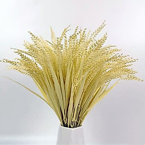 Corkwaw 35 Heads Artificial Rice Rice Ear Fake Plant Plastic Rice Paddy Wedding Decoration Set Dancing Props（True Color ）