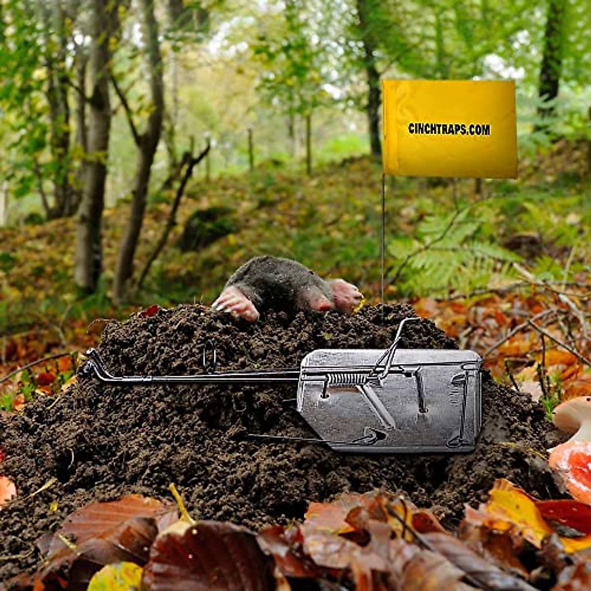 Cinch Mole Trap Deluxe Kit Large (2 Pack) Heavy Duty and Reusable, Rust and Weather Resistant, Outdoor Use, Lawns, Gardens, Sports Fields, Yards, Personal and Professional-Grade Use