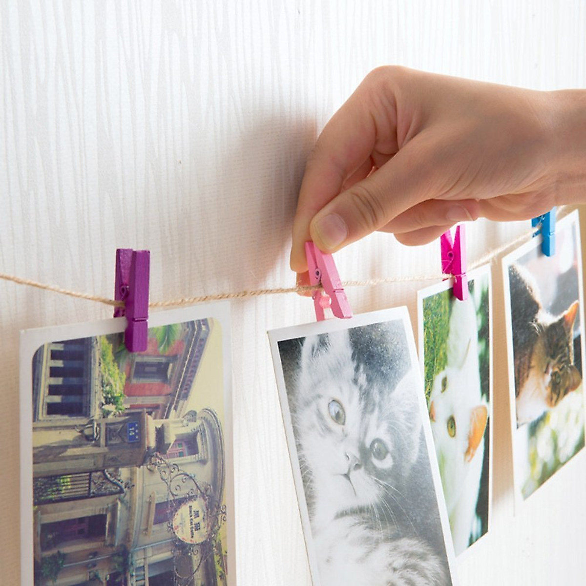 DECORA 2.5cm Multicolor Wood Mini Clothespin 72 pieces in One Package