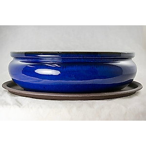 Calibonsai Oval Glazed Bonsai / Succulent Pot + Tray + Mesh 12''x 8.5''x 3.75'' - Dark Blue