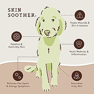 Natural Dog Company Skin Soother Trial Stick (0.15oz) | Travel-Size All-Natural Balm | with Almond Oil, Cocoa Butter, and Vitamins C and E | Moisturize Dry and Itchy Skin, Treat Wounds and Allergies