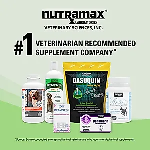 Nutramax Denosyl Liver and Brain Health Supplement for Large Dogs, With S-Adenosylmethionine (SAMe), 30 Tablets
