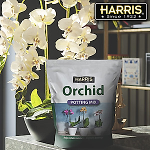 Harris Premium Orchid Potting Mix, Optimal Soil Mix for All Types of Orchids, 4qt, White