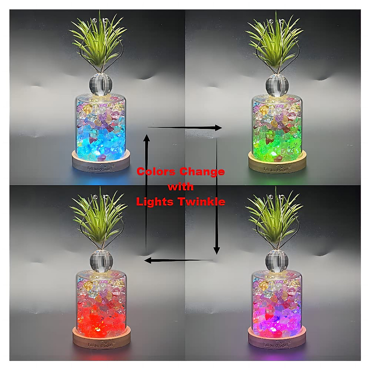 Tillandsiart 3Pack Air Plant Holders (3Pcs Air Plant Containers W/LED Lights) A decorative accessory for setting up air plant display for house decor.