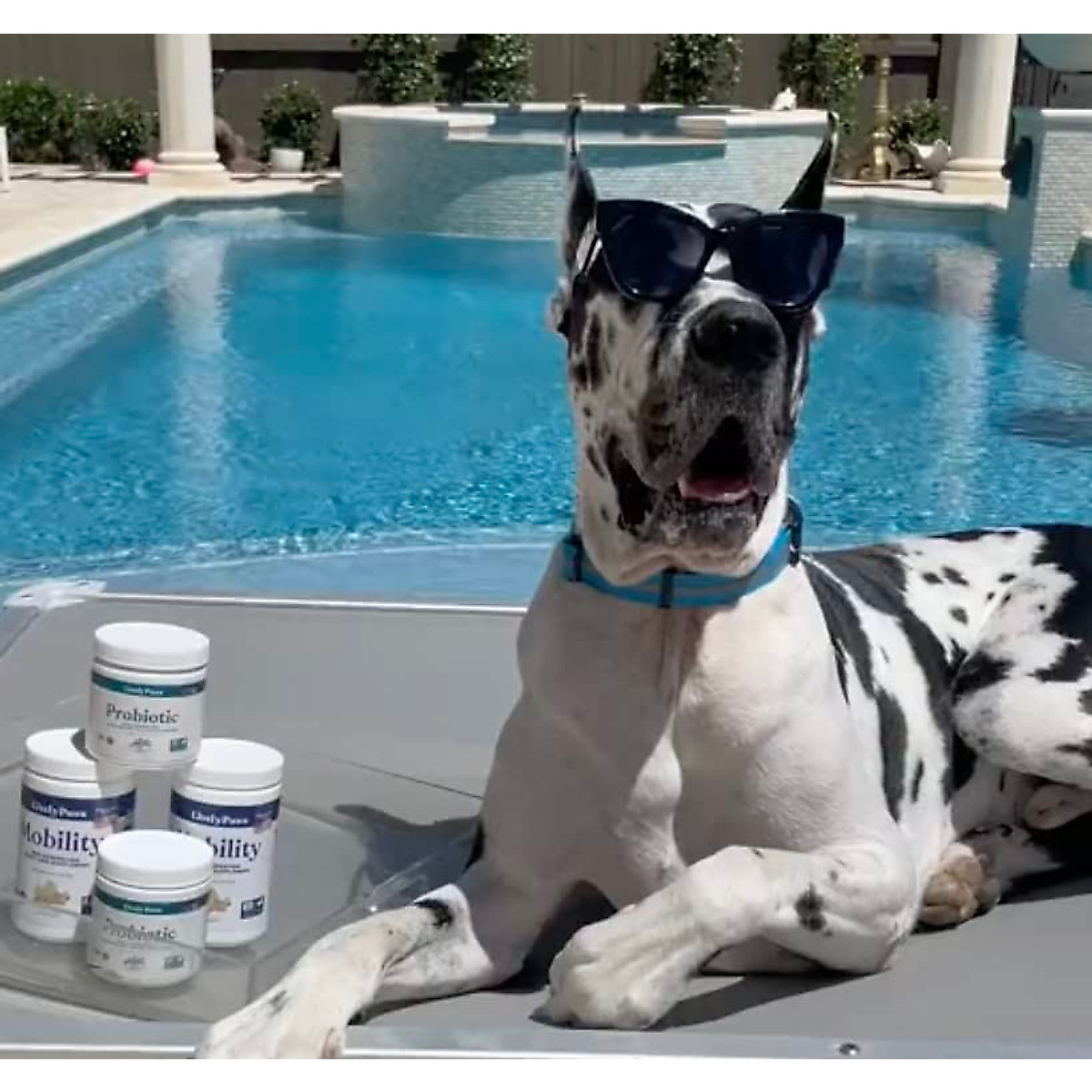 Lively Paws™ Mobility 10 Hip & Joint Care Supplement for Dogs- Soft Chews with Glucosamine, MSM, Green-Lipped Mussel, Manganese, Chondroitin & Vitamin C