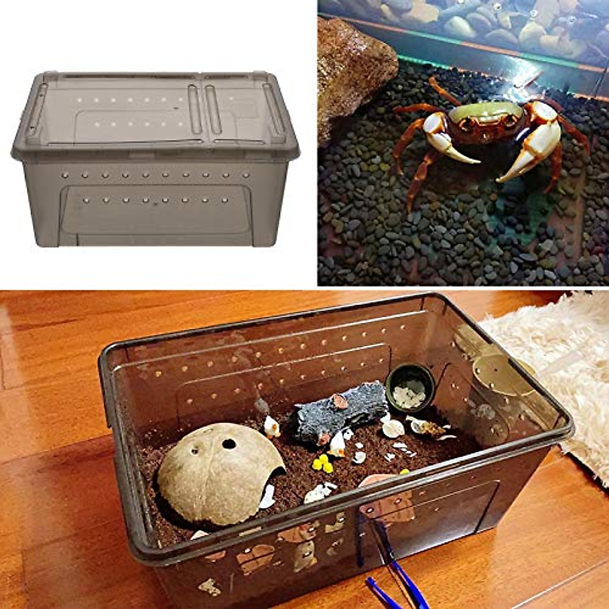 POPETPOP Reptile Breeding Box, Reptile Terrarium, Reptile Container Reptile Cage Lizard Tarantula Habitat Breeding Cage for Spider Scorpion Gecko