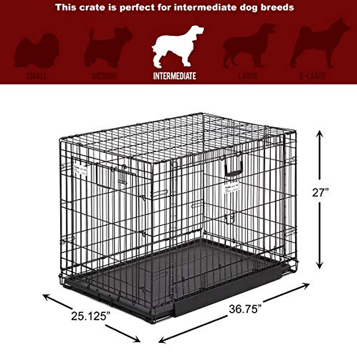 MidWest Homes for Pets Ovation Double Door Dog Crate, 36-Inch