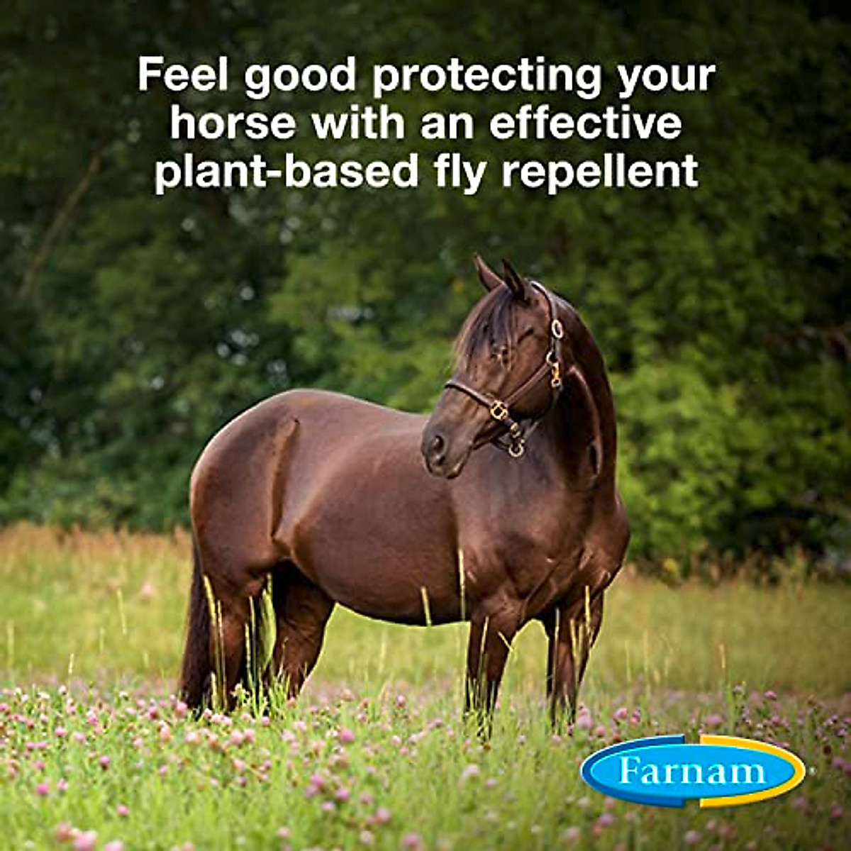 Farnam Equisect Botanical Fly Repellent for Horses, Dogs and Cats, 32 Ounces, Quart Spray