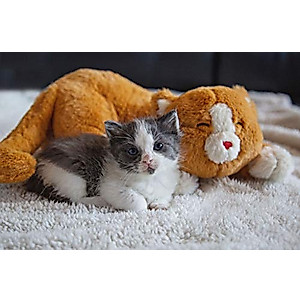 Calmeroos Cat Heartbeat Toys - Calming Separation Anxiety Relief Toys for Kittens - Heartbeat Simulator in a Soft Comforting Pillow Pet Plush