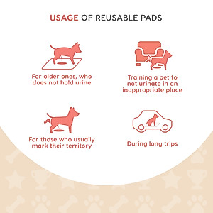 Washable Pee Pads for Dogs and Cats - Reusable Puppy Pads for Training, Super Waterproof Mat for Dog Play, Anti Slip Pad for Crate Indoor, 31.5 x 55.12 inch, 1pcs, Puppies