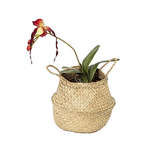 Compactor Storage Basket, Small, Brown