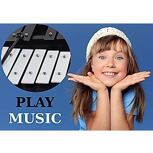 Large Xylophone 25 Notes Chromatic Glockenspiel, Bag, Sheet Music Cards, 45-song Ebook