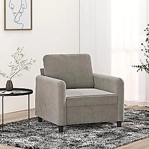 ULUYYUC Sofa Chair,Living Room Furniture Indoor Sofa Lounge Sofa Pull Out Couch with Armrests Suitable for Living Room Apartment Home Office Light Gray 23.6" Velvet
