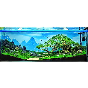 Bonsai Driftwood Aquarium Tree for Aquarium Decor Fish Tank Decorations