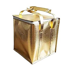 NOLITOY 2pcs Small Foldable Drink Bags Convenient and Cold Cake Hot Take-out Grocery Soft Fresh-keeping Warmer Out Zipper Heat Pouch Insulated Food Storage Bag Back Aging Practical