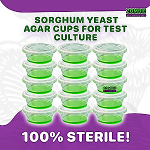 Zombie Mushrooms Sorghum Yeast Agar Cups (15)