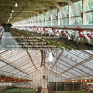 CCGKX Solar Light Bulbs Rechargeable with Remote Timer, 4 Modes Solar Powered Lantern for Indoor&Outdoor Chicken Coop Hurricane Emergency Lighting Hiking Camping (White, 300lm-2pack)