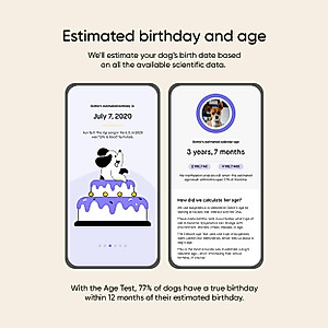Embark Dog Age Test Kit - Estimates Age and Birthday - DNA Methylation - Best for Dogs Past Puppy Stage - Includes Life Stage Care Tips - Great for Rescue Dogs